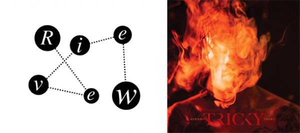 TRICKY Adrian Thaws (!K7) - Groove