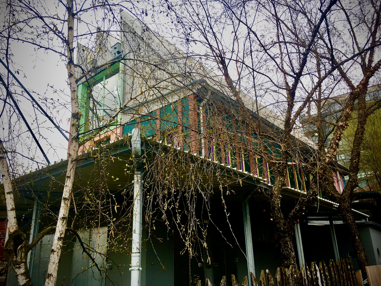 Golden Pudel Club: Wiedereröffnung im April - Groove