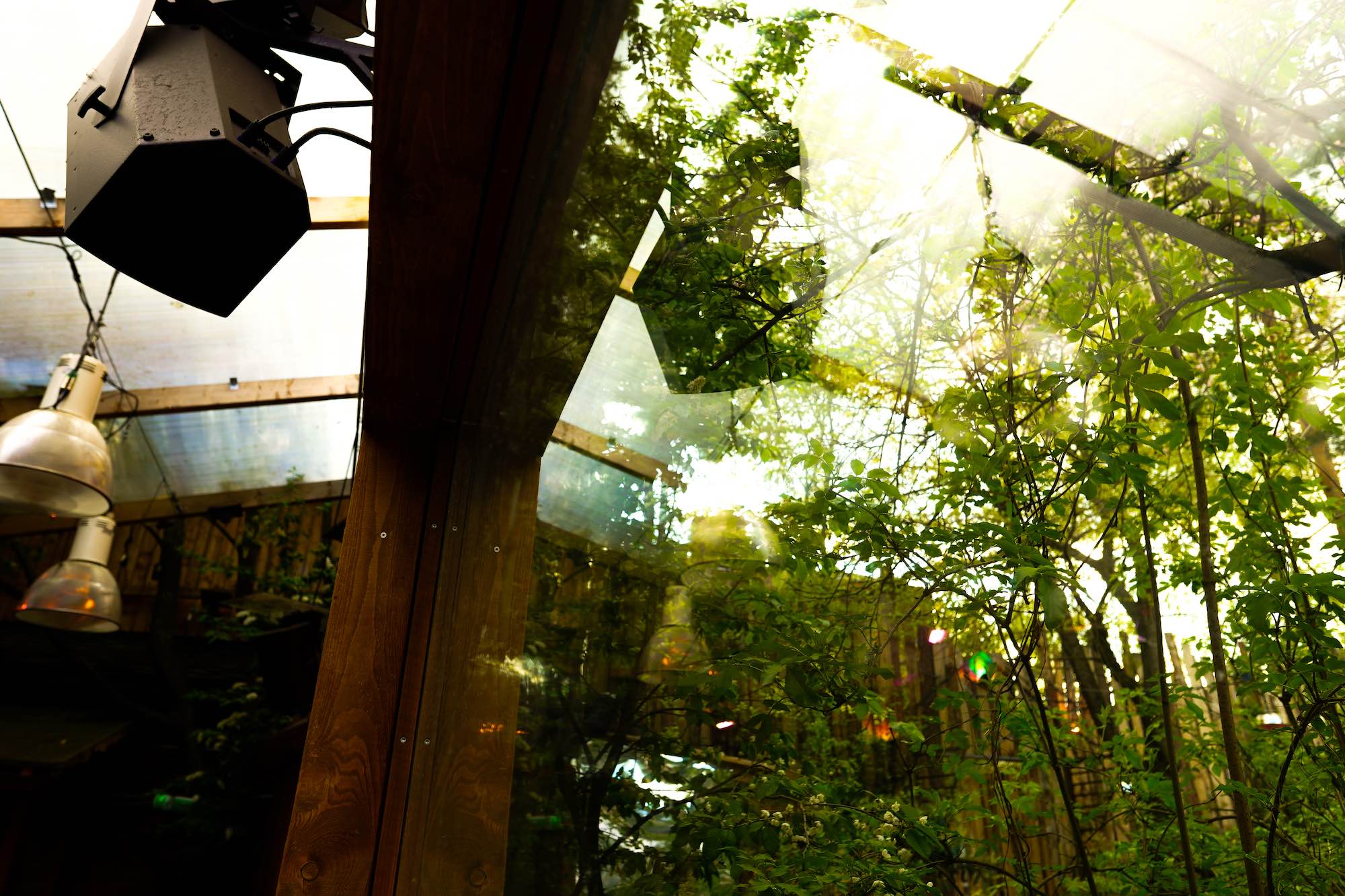 ÆDEN: Umfunktionierte Container und Grün zwischen Backsteinmauern