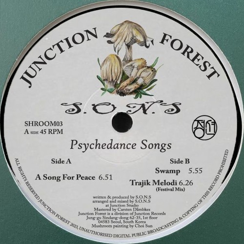 Die Platten der Woche mit Amor Satyr, S.O.N.S, Byron The Aquarius, DJ ...