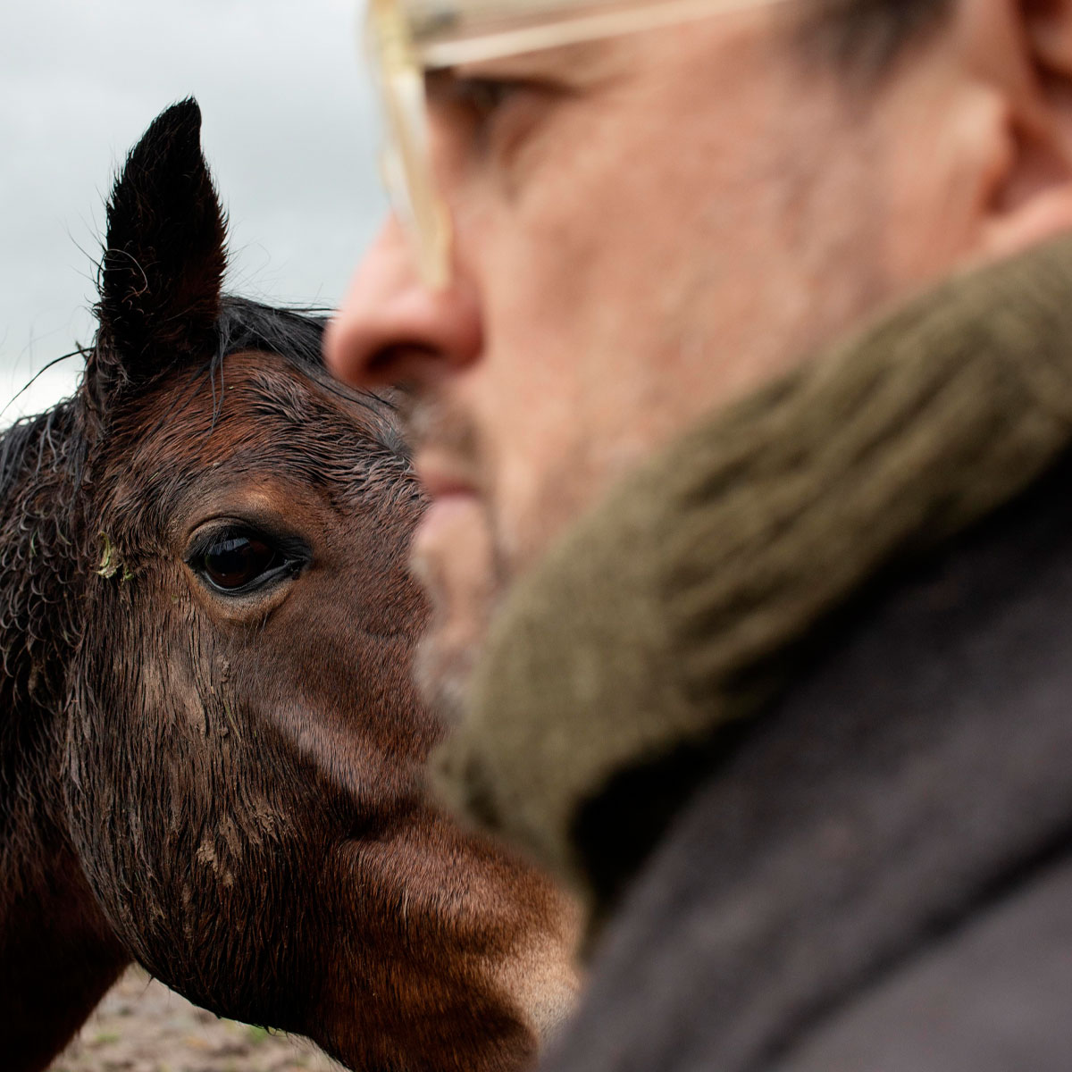 Matthew Herbert: „The Horse” in der Elbphilharmonie mit Ensemble Resonanz